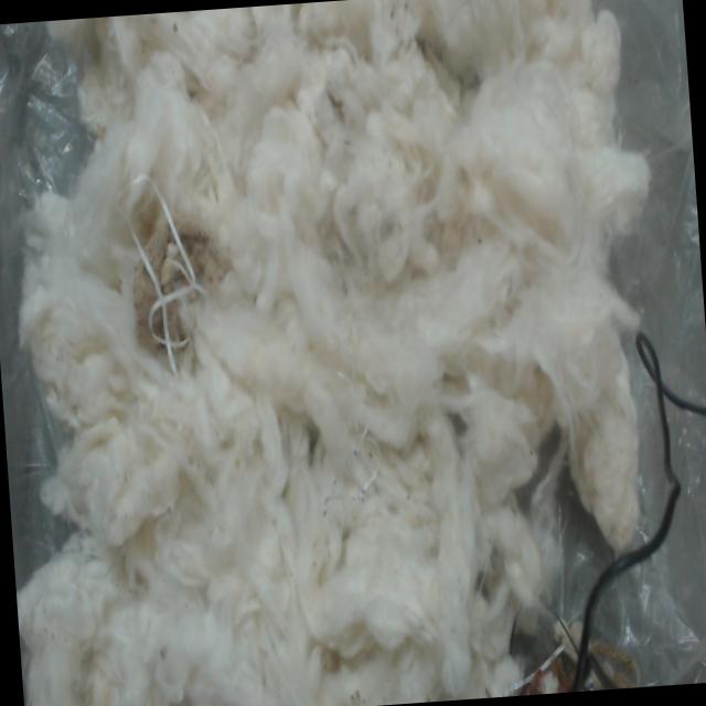 cotton Object Detection Model (v1, 2024-05-08 1:06pm) by test