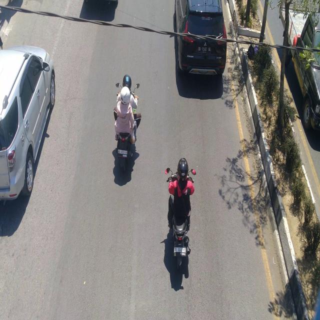 Helmet Plate Detection Object Detection Dataset V8 2024 03 24 10 09am