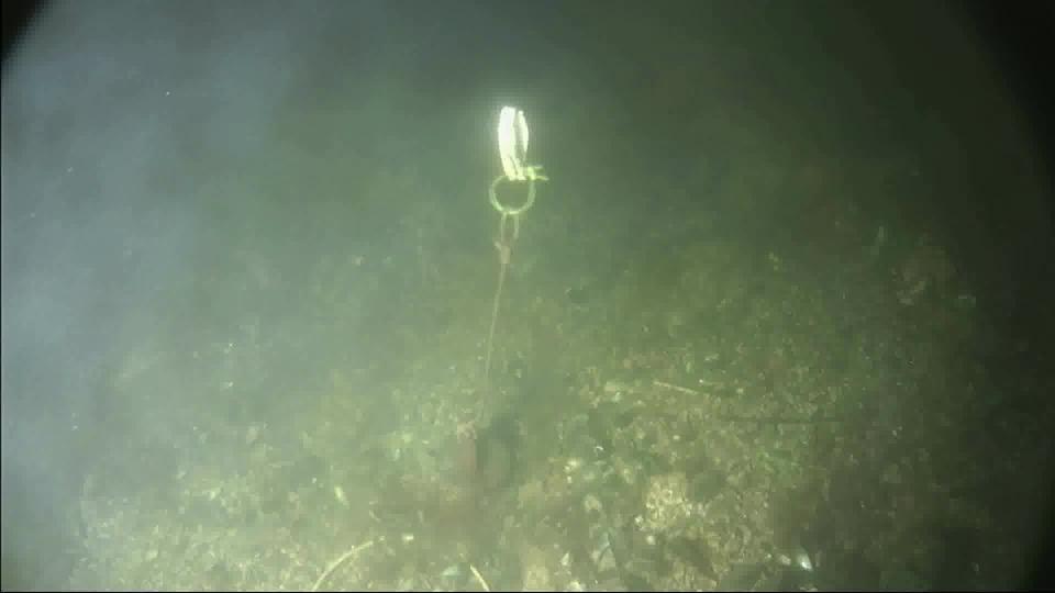 Brackish Underwater Object Detection Dataset 960x540