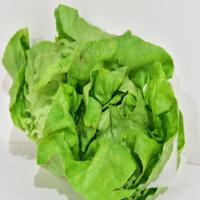 vegetable Object Detection Model (v2, 2024-11-13 7:05am) by project-41aqw