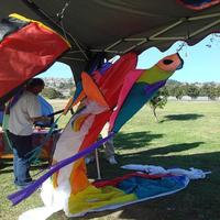 COCO Dataset Object Detection Model (v38, 2025-07-22 9:02pm) by Microsoft