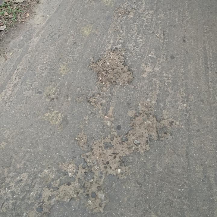 Potholes and Roads Instance Segmentation Object Detection Dataset (v5 ... Potholes and Roads Instance Segmentation Object Detection Dataset (v5 ...