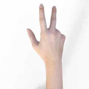 Rock Paper Scissors Classification Dataset - raw-300x300