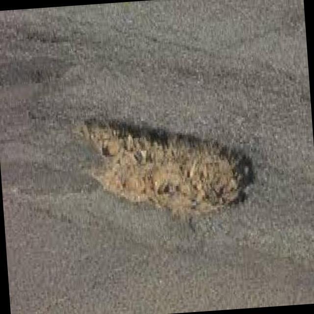 Pot Hole Using Yolo Object Detection Dataset V1 2024 04 04 8 08pm By