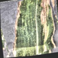 Corn Diseases Object Detection Dataset (v4, 50- null) by Corn Disease 6