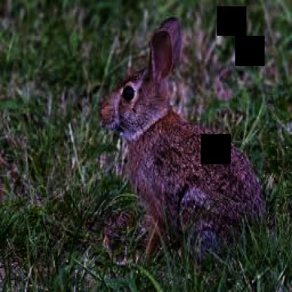 Cottontail-Rabbits Object Detection Dataset - Augmented Data