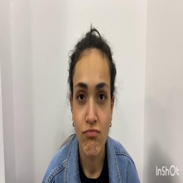 Face Emotions Object Detection Dataset V1 2024 01 04 11 22pm By Akin
