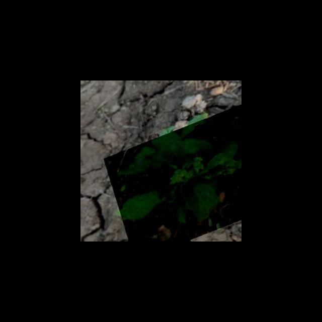 crop-weed Object Detection Dataset (v2, 2024-03-22 10:09am) by Srec crop-weed Object Detection Dataset (v2, 2024-03-22 10:09am) by Srec
