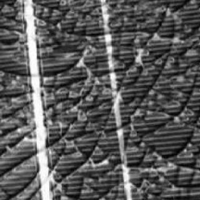 panel detection Object Detection Dataset (v1, prepared data) by Solar ... panel detection Object Detection Dataset (v1, prepared data) by Solar ...