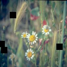 Flowers Classification Dataset - augmented