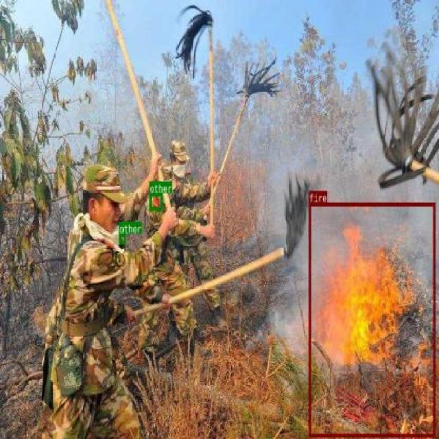 Fire Smoke And Human Detector Object Detection Dataset V31 2023 07 14