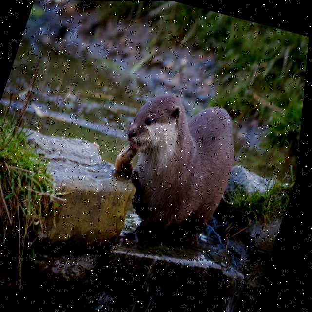 Otter detection Object Detection Dataset (v3, OtterDetectionV3) by UniKL