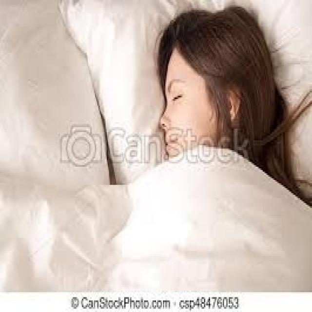 poikl Object Detection Model (v1, 2024-07-26 12:49am) by poikl