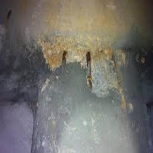 Rebar exposure Instance Segmentation Dataset (v1, 2024-05-23 10:14am) by rebar exposure and spalling