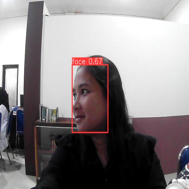 Face Detection Object Detection Dataset V1 2024 04 03 8 25pm By