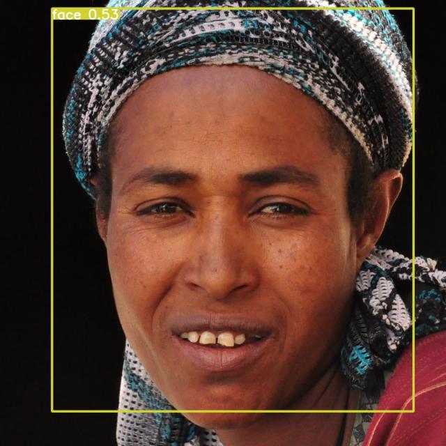 Face Detection Object Detection Dataset V1 2024 04 03 8 25pm By