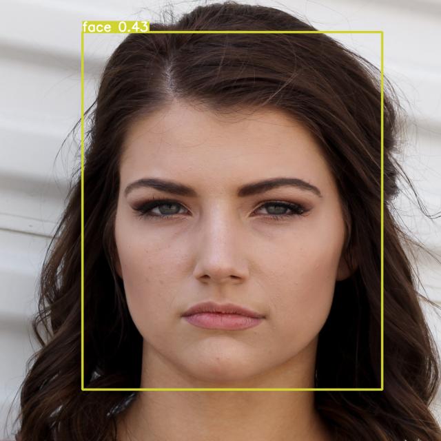 Face Detection Object Detection Dataset V1 2024 04 03 8 25pm By