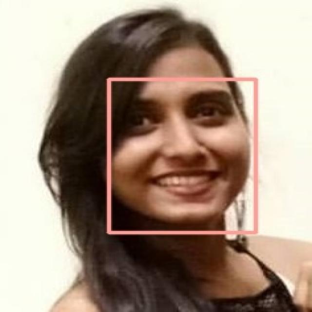 Face Detection Object Detection Dataset V1 2024 04 03 8 25pm By