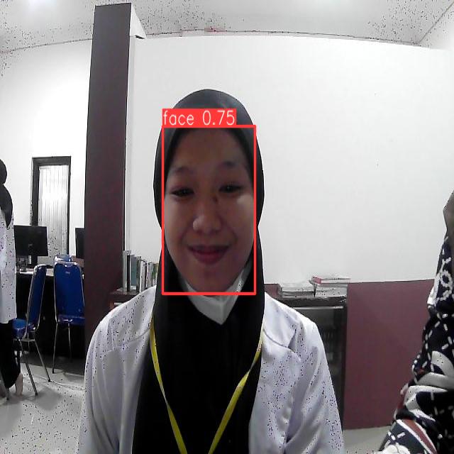 Face Detection Object Detection Dataset V1 2024 04 03 8 25pm By
