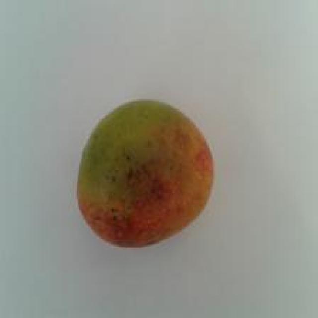 Yolov8 Fyp Mango Classification Dataset V4 2024 05 17 1 04am By