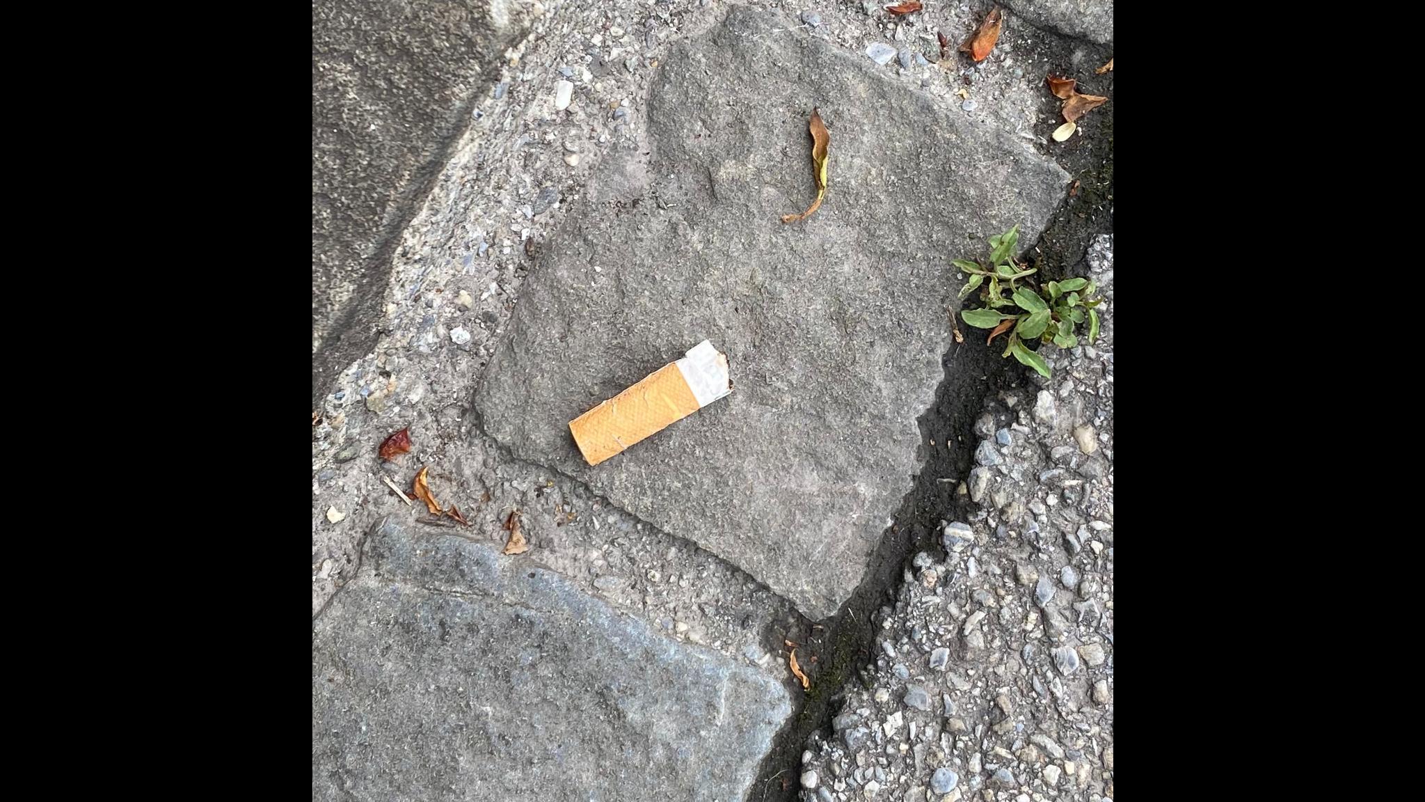 Yolo Cigarettes Butts Object Detection Dataset V1 2022 11 25 3 20am By Butt