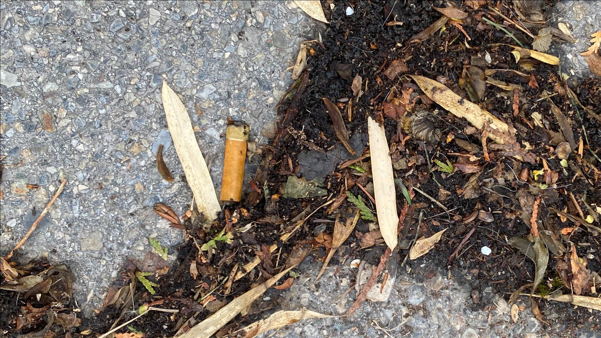 Yolo Cigarettes Butts Object Detection Dataset V1 2022 11 25 3 20am By Butt