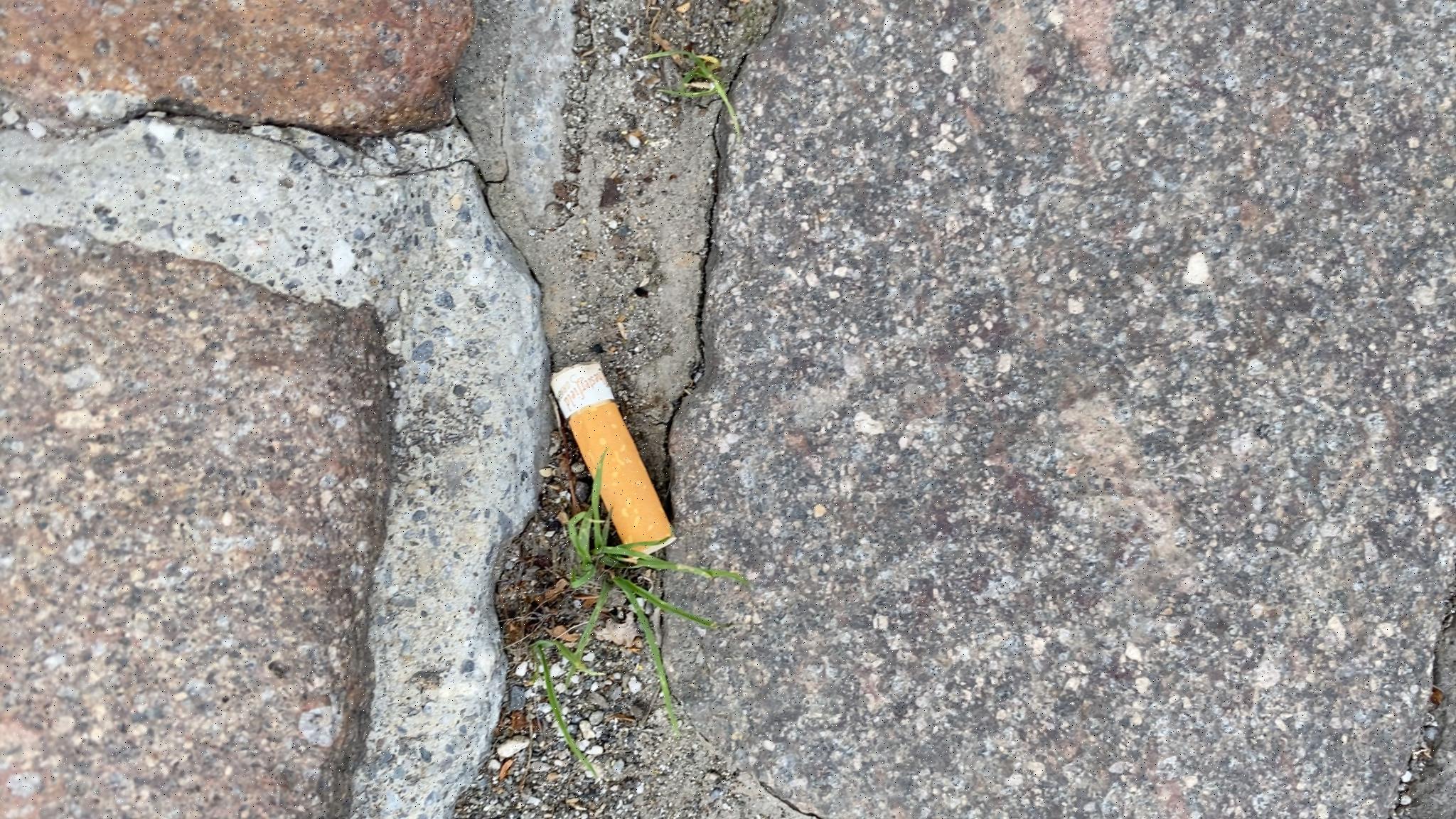 Yolo Cigarettes Butts Object Detection Dataset V1 2022 11 25 3 20am