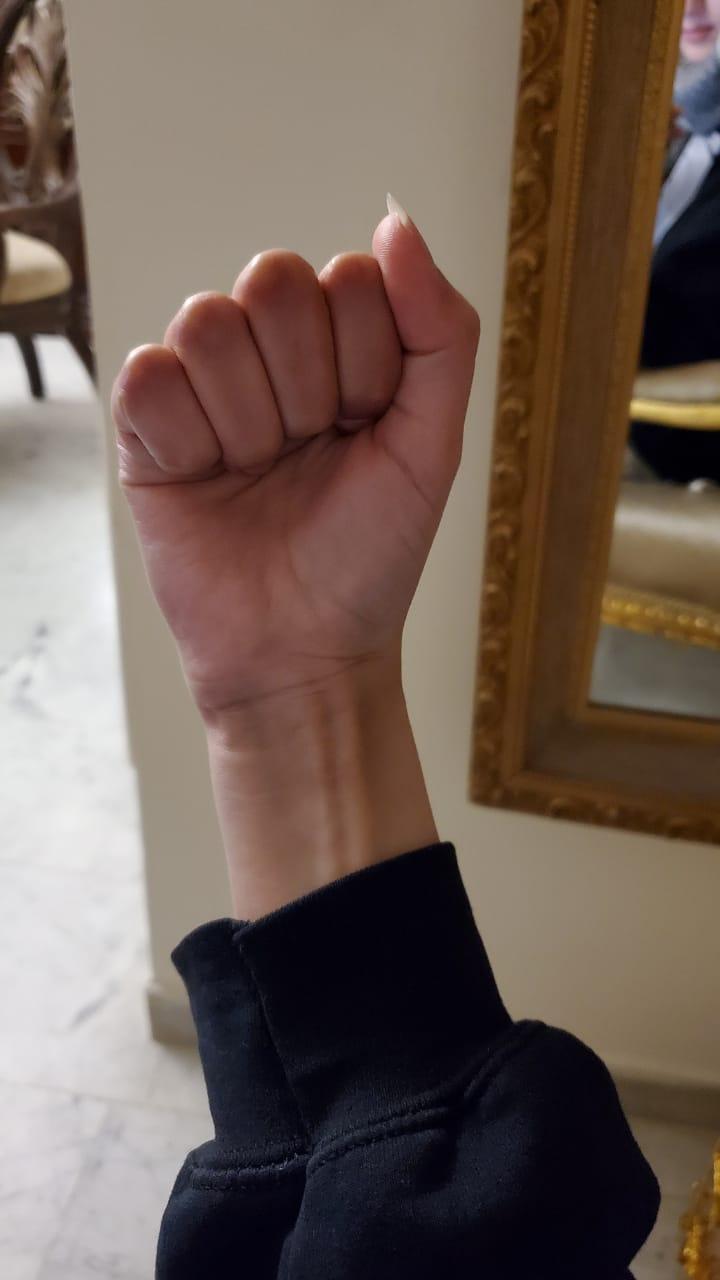 Rgb Arabic Alphabet Sign Language Object Detection Dataset Object