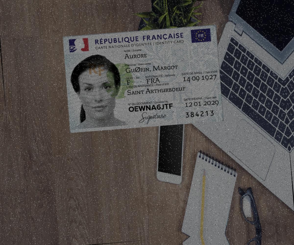 french-card-id-detect Object Detection Dataset (v3, model_for_french_id_card_detection) by ID ...