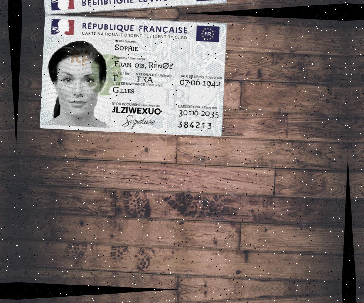 french-card-id-detect Object Detection Dataset (v3, model_for_french_id_card_detection) by ID ...