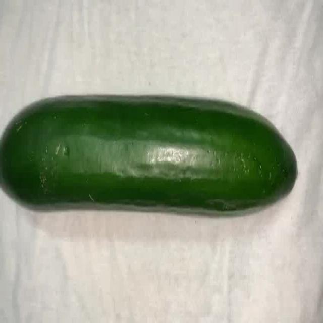 Cucumber For Robotics Object Detection Dataset V6 2024 03 12 2 36pm