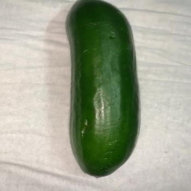Cucumber For Robotics Object Detection Dataset V6 2024 03 12 2 36pm