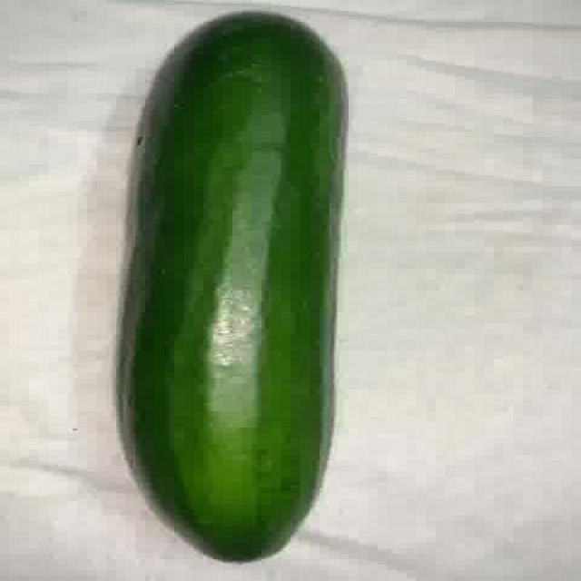 Cucumber For Robotics Object Detection Dataset V6 2024 03 12 2 36pm