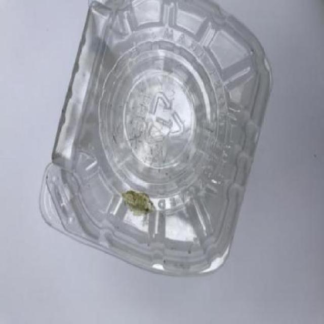 Yolov5 garbage detection Object Detection Dataset (v1, 2023-09-22 2:01pm) by garbage detection