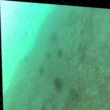 URPC2020 Object Detection Dataset (v6, 2024-01-21 4:33pm) by URPC2020