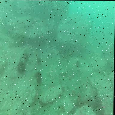 URPC2020 Object Detection Dataset (v6, 2024-01-21 4:33pm) by URPC2020