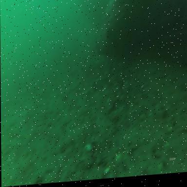 URPC2020 Object Detection Dataset (v6, 2024-01-21 4:33pm) by URPC2020